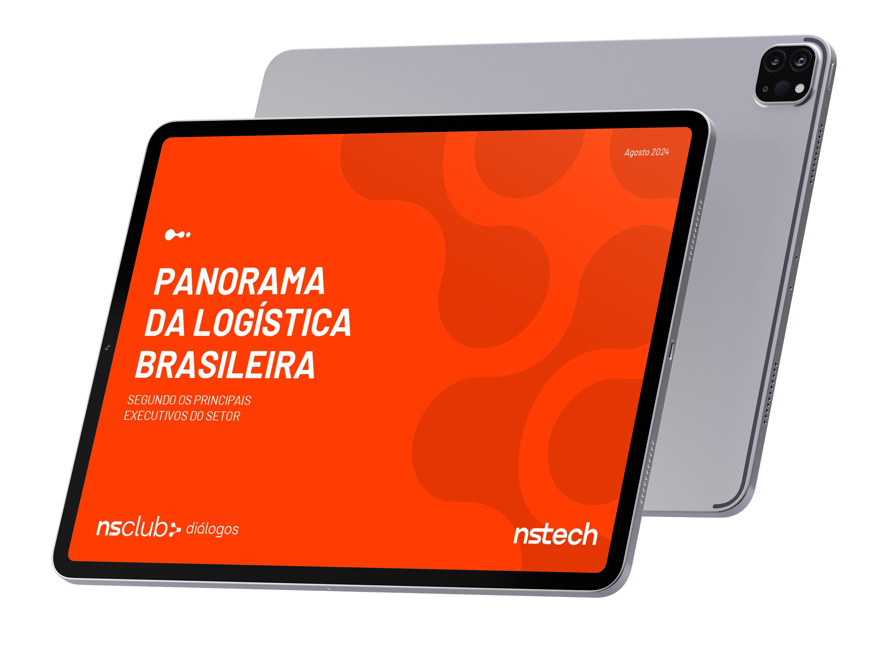 Panorama da Logística Brasileira | nstech